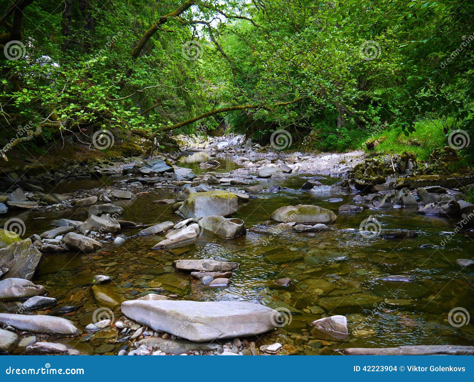 River Deep in Mountain Forest. Stock Photo - Image of beautiful, nature ...