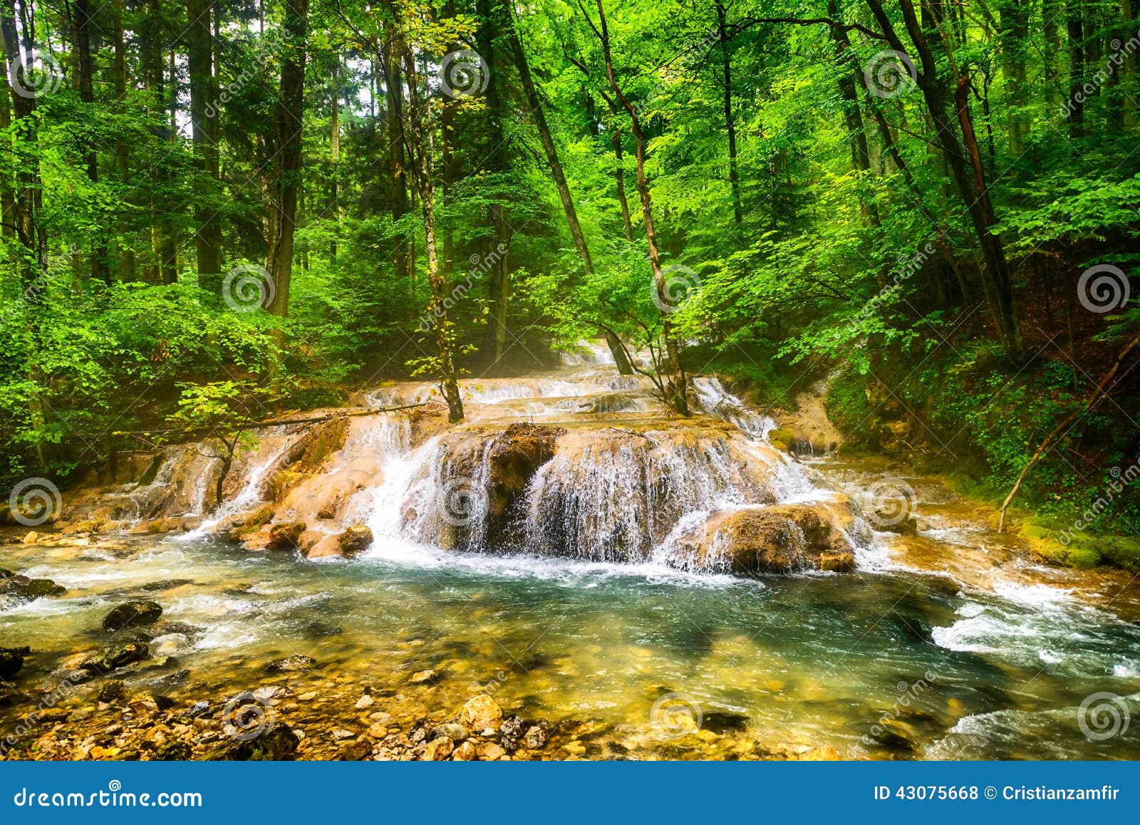 River Deep in Mountain Forest Stock Photo - Image of deep, paradise ...