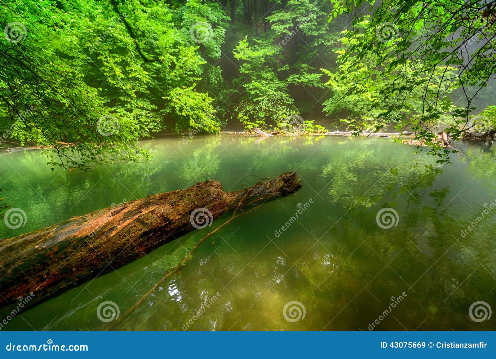River Deep in Mountain Forest Stock Image - Image of beautiful, nature ...