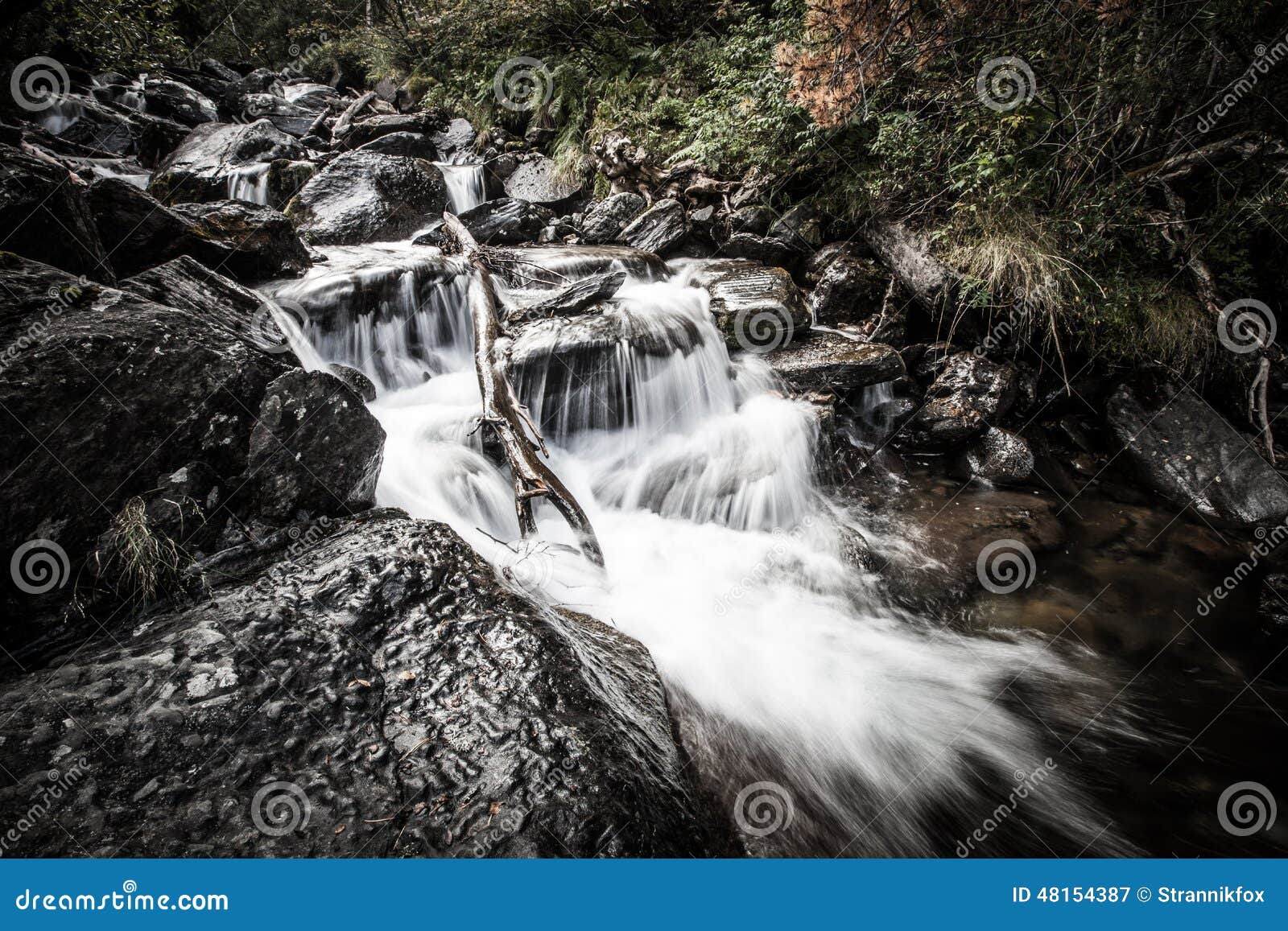 River Deep in Mountain Forest. Nature Composition Stock Image - Image ...