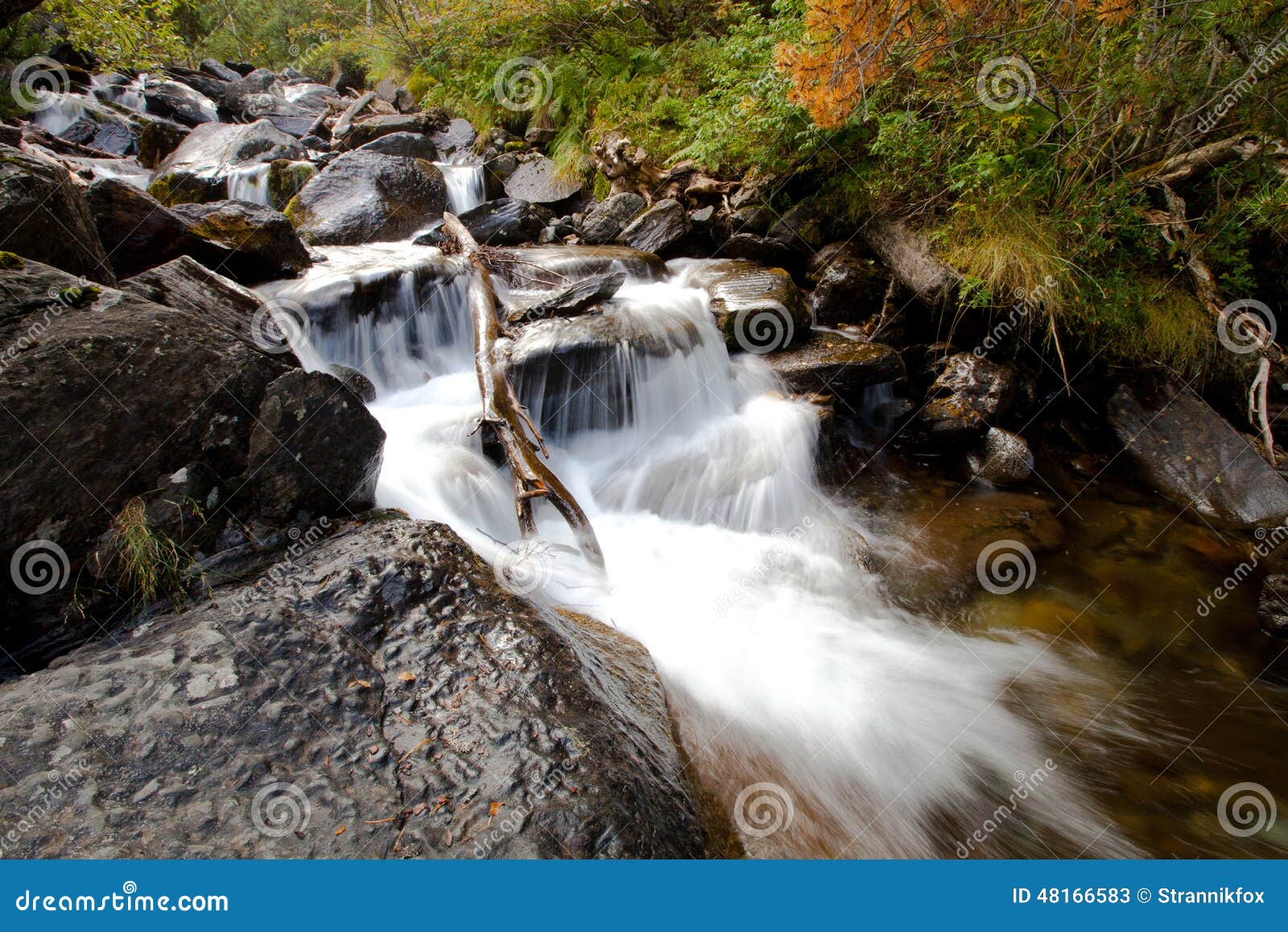 River Deep in Mountain Forest. Nature Composition Stock Image - Image ...