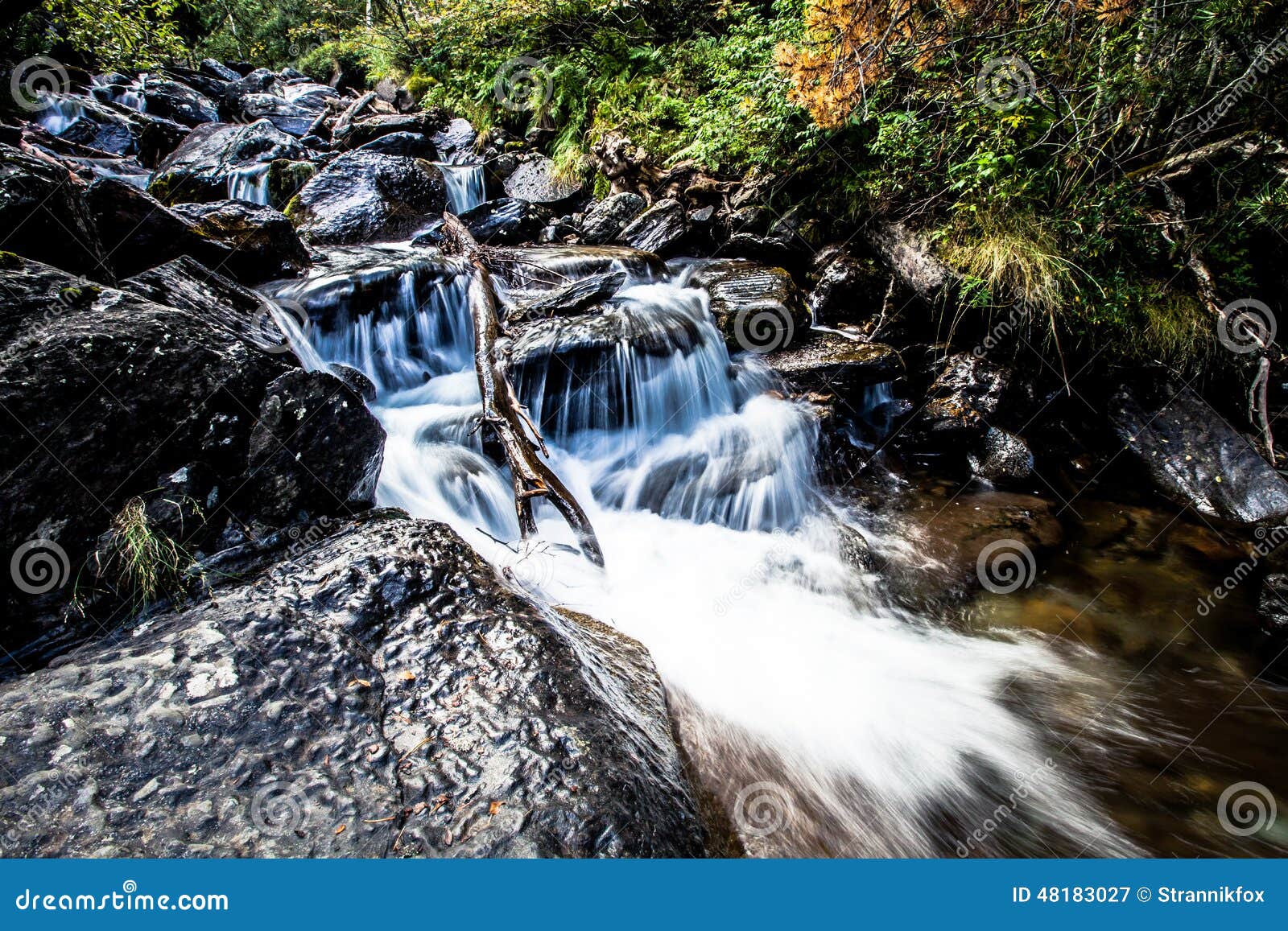 River Deep in Mountain Forest. Nature Composition Stock Image - Image ...