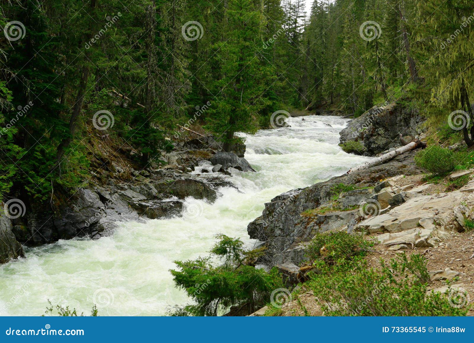 River Deep in Mountain Forest. Nature Composition Stock Image - Image ...