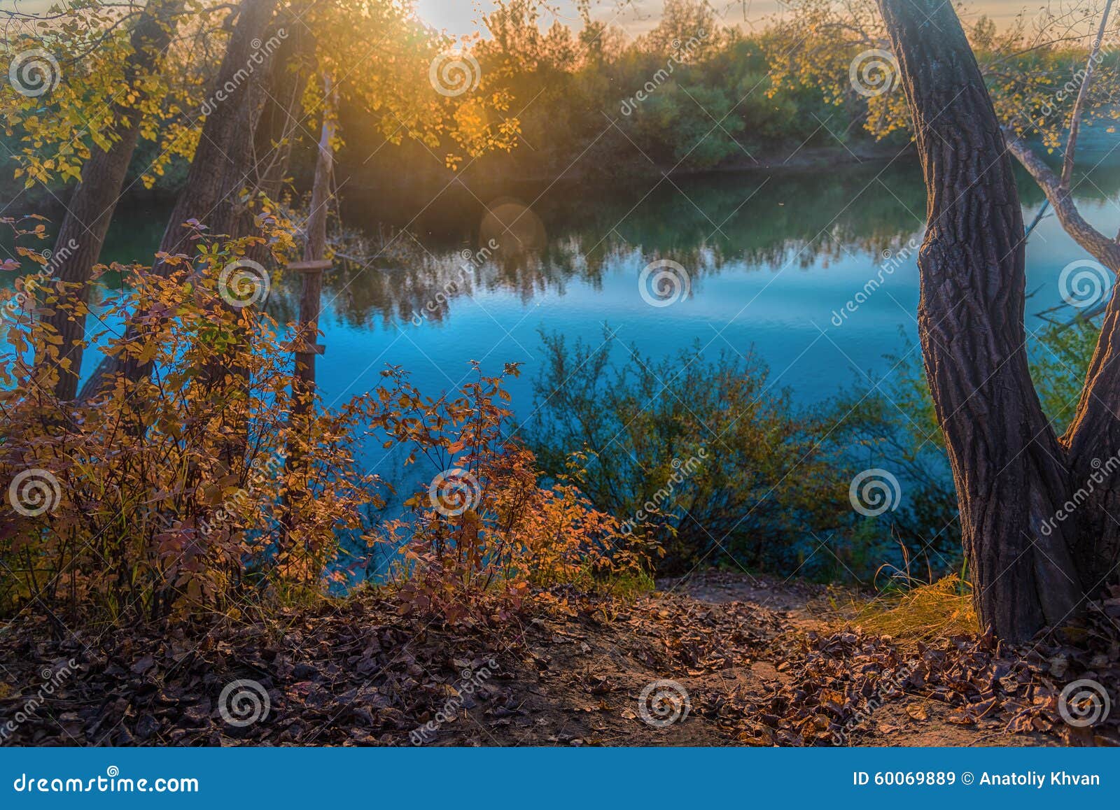 River in a Delightful Autumn Forest Stock Image - Image of sunlight ...