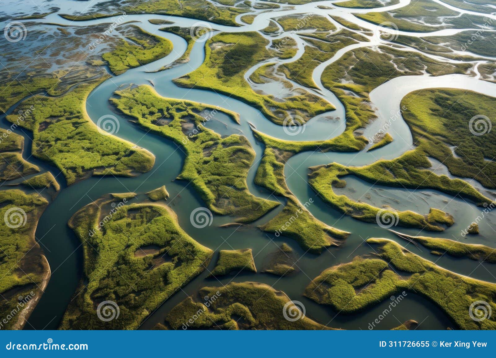 River Delta in Marshy Wetlands Stock Illustration - Illustration of ...