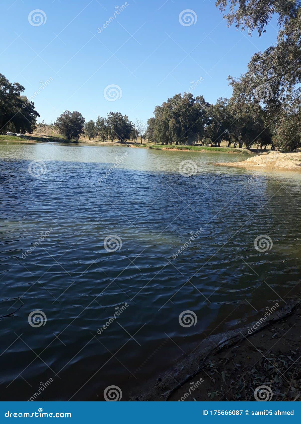 The river with delusion stock image. Image of jungie - 175666087