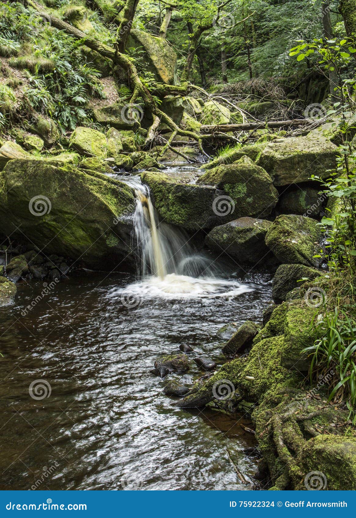 River Derwent Flowing through Padley Gorge in Derbyshire Stock Photo ...