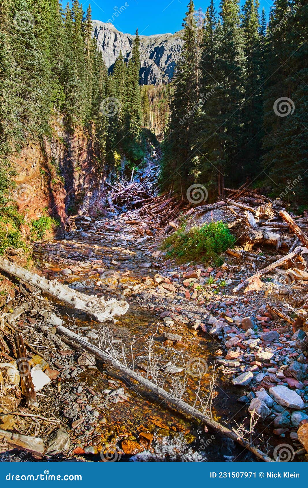 River Destroyed by Forest Fire and Now Filled with Large Logs by ...