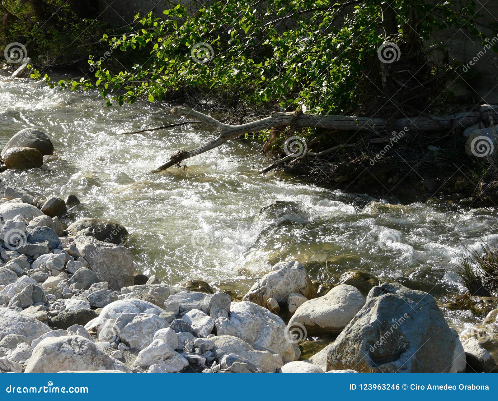 River detail stock photo. Image of rock, abstract, flow - 123963246