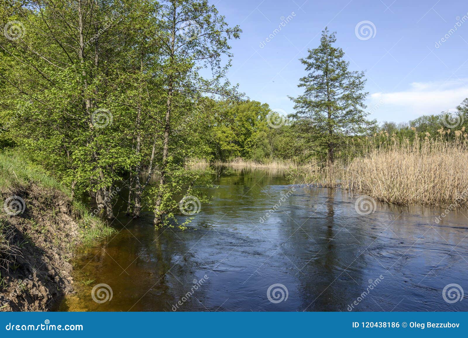 The River after Development Entered Its Shores, but the Current is ...