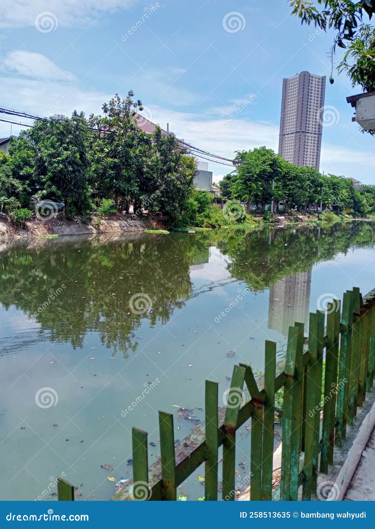 River dirty with garbage stock image. Image of flower - 258513635