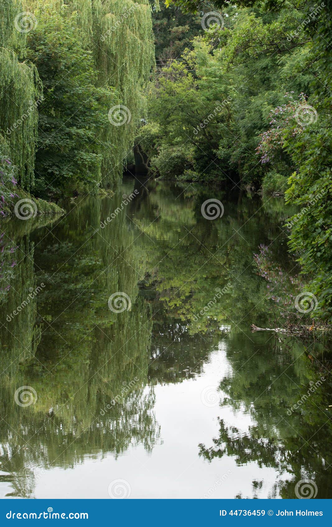 River Dodder stock image. Image of evening, summers, still - 44736459