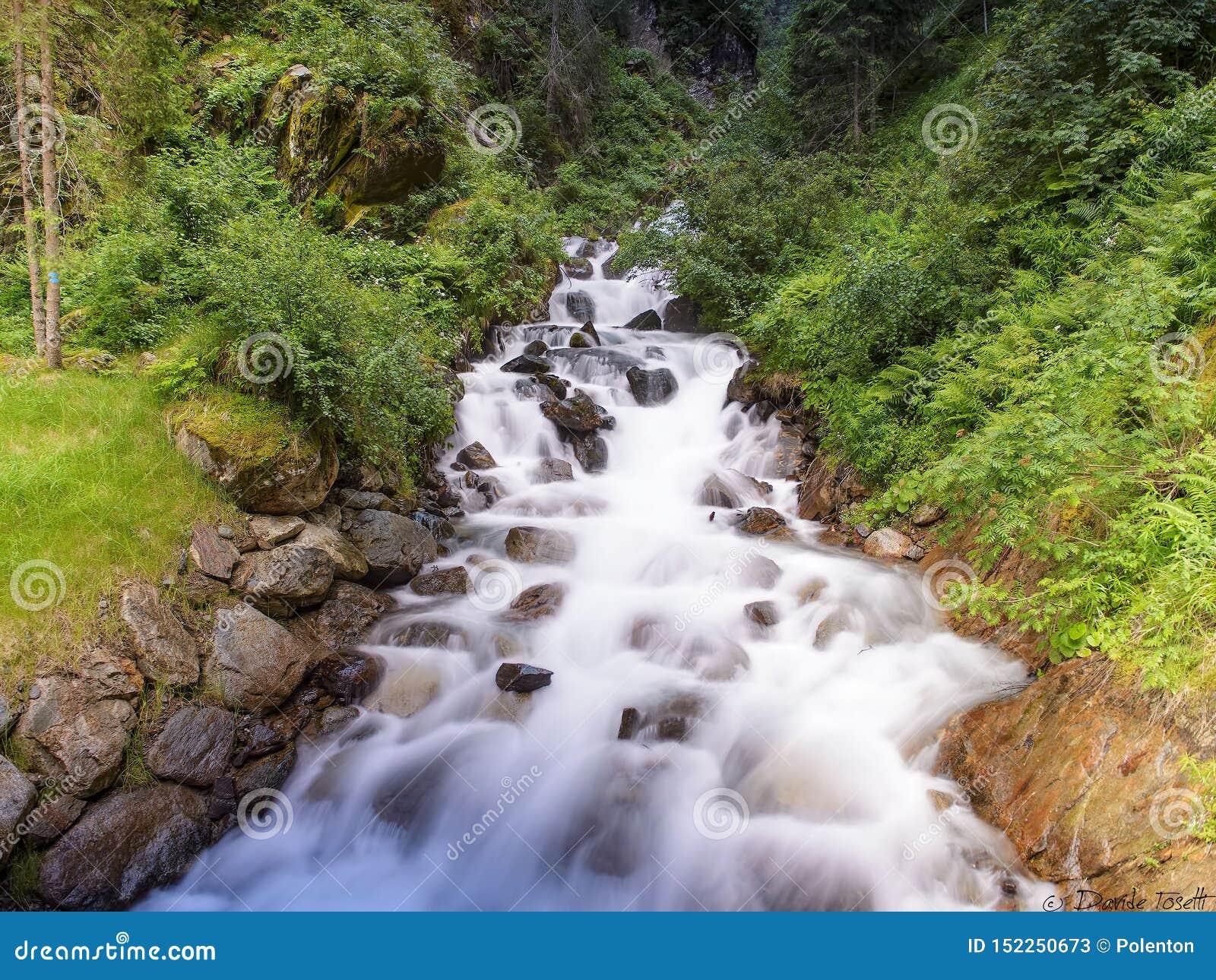 River on the Dolomites Mountain in Val Di Rabbi Italy Stock Image ...