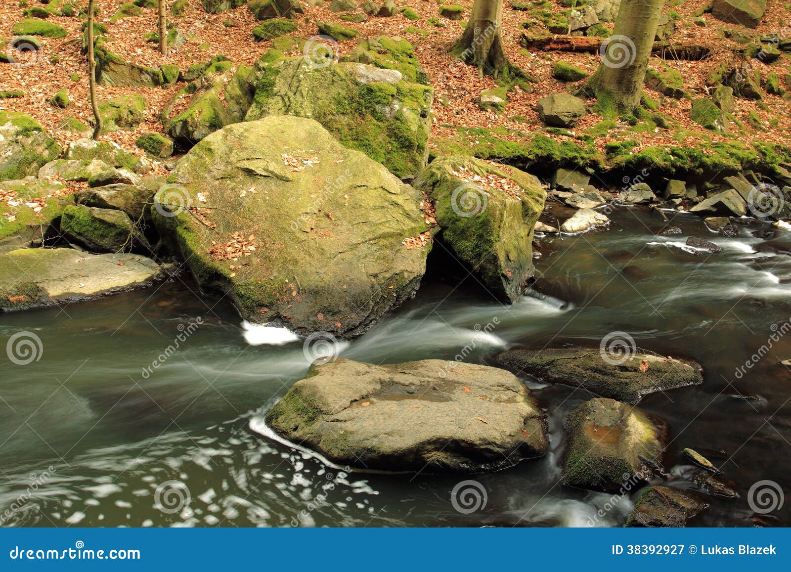 River Doubrava stock image. Image of landscape, tree - 38392927