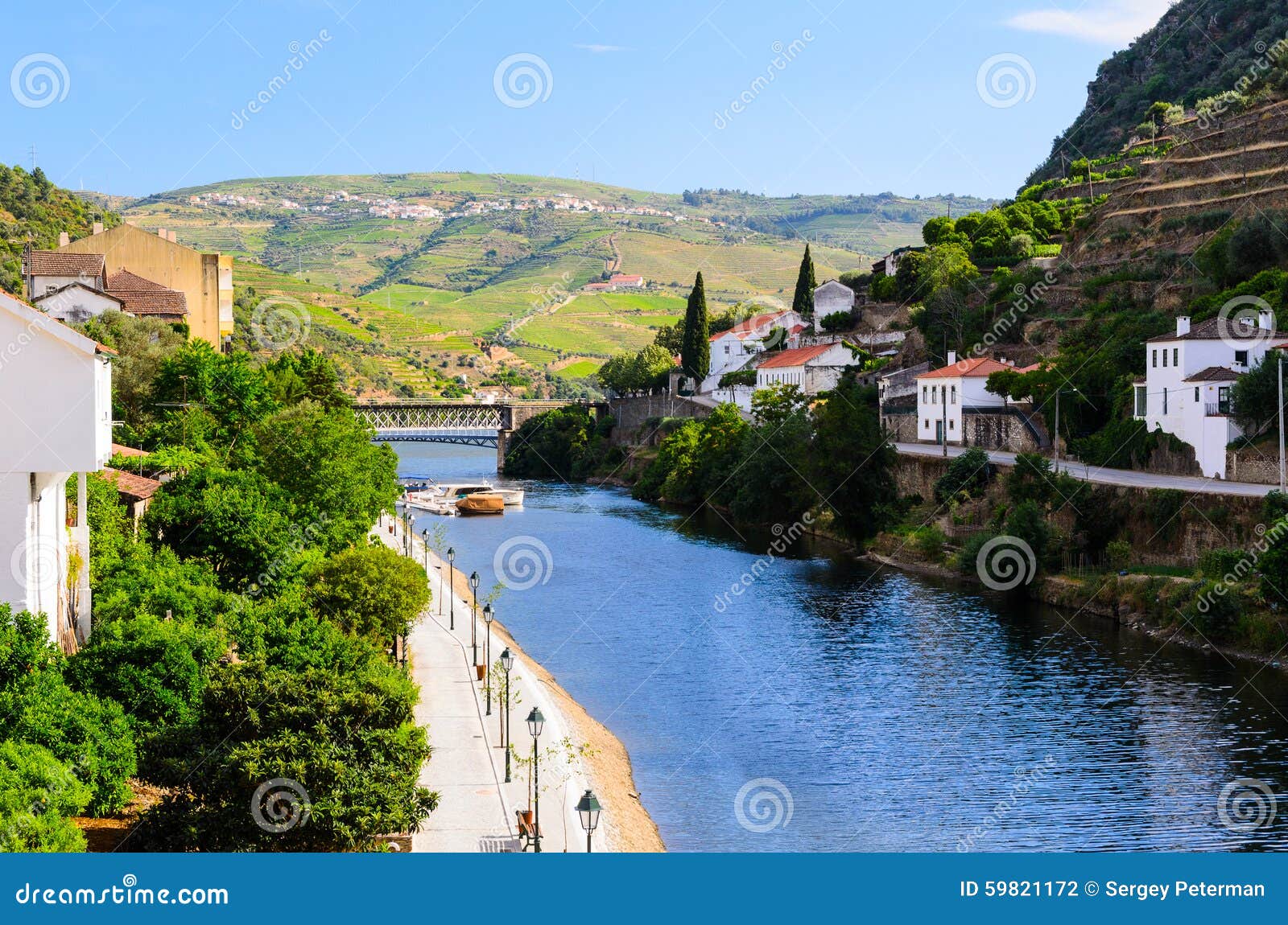 River Douro Valley, Portugal Stock Photo - Image of river, grass: 59821172