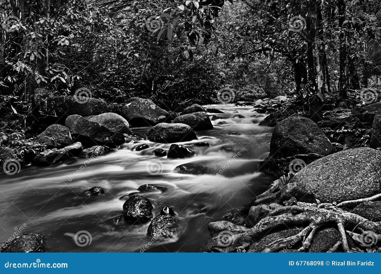 River Down Stream in Black and White Stock Photo - Image of lower ...