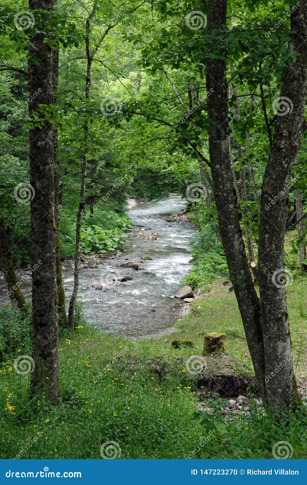 River Dranse in the French Alps Stock Photo - Image of dranse, alps ...