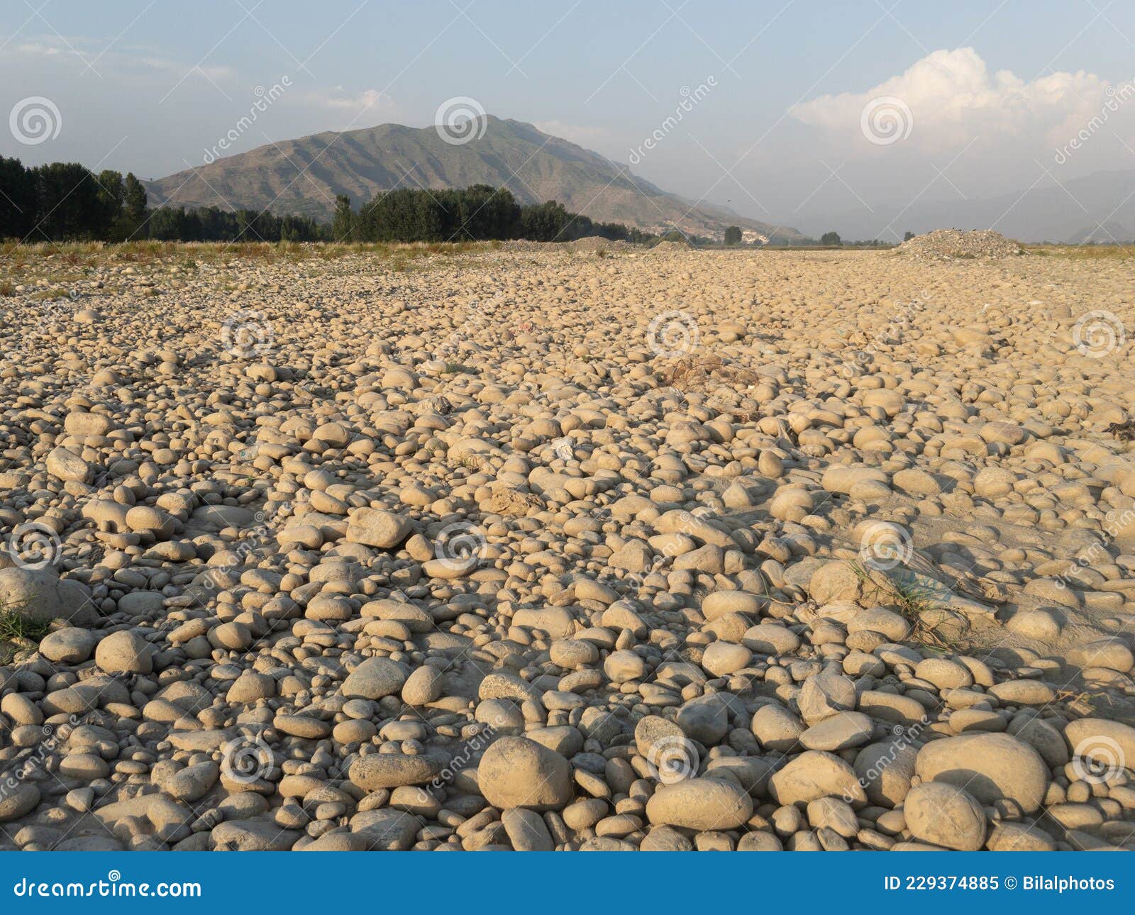 River Dry in Summer or Climate Change Stock Image - Image of dead ...