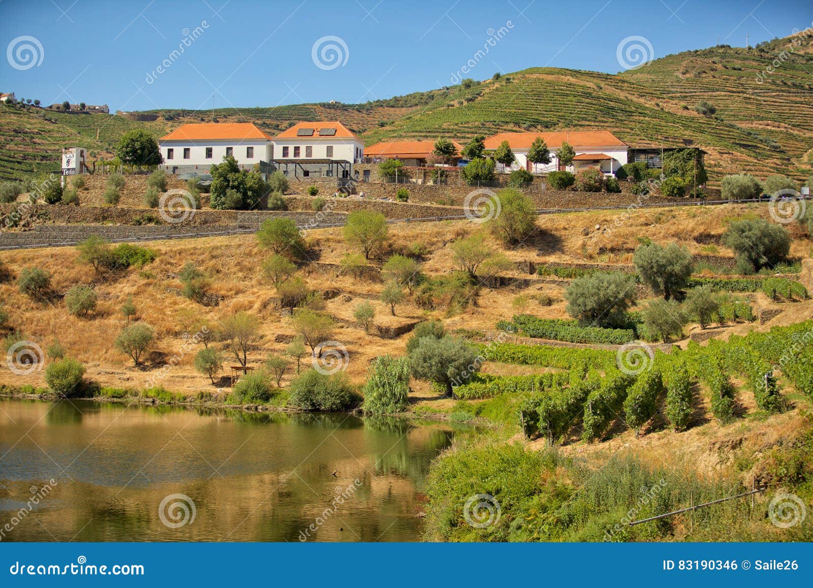 River duoro valey stock photo. Image of famous, duoro - 83190346