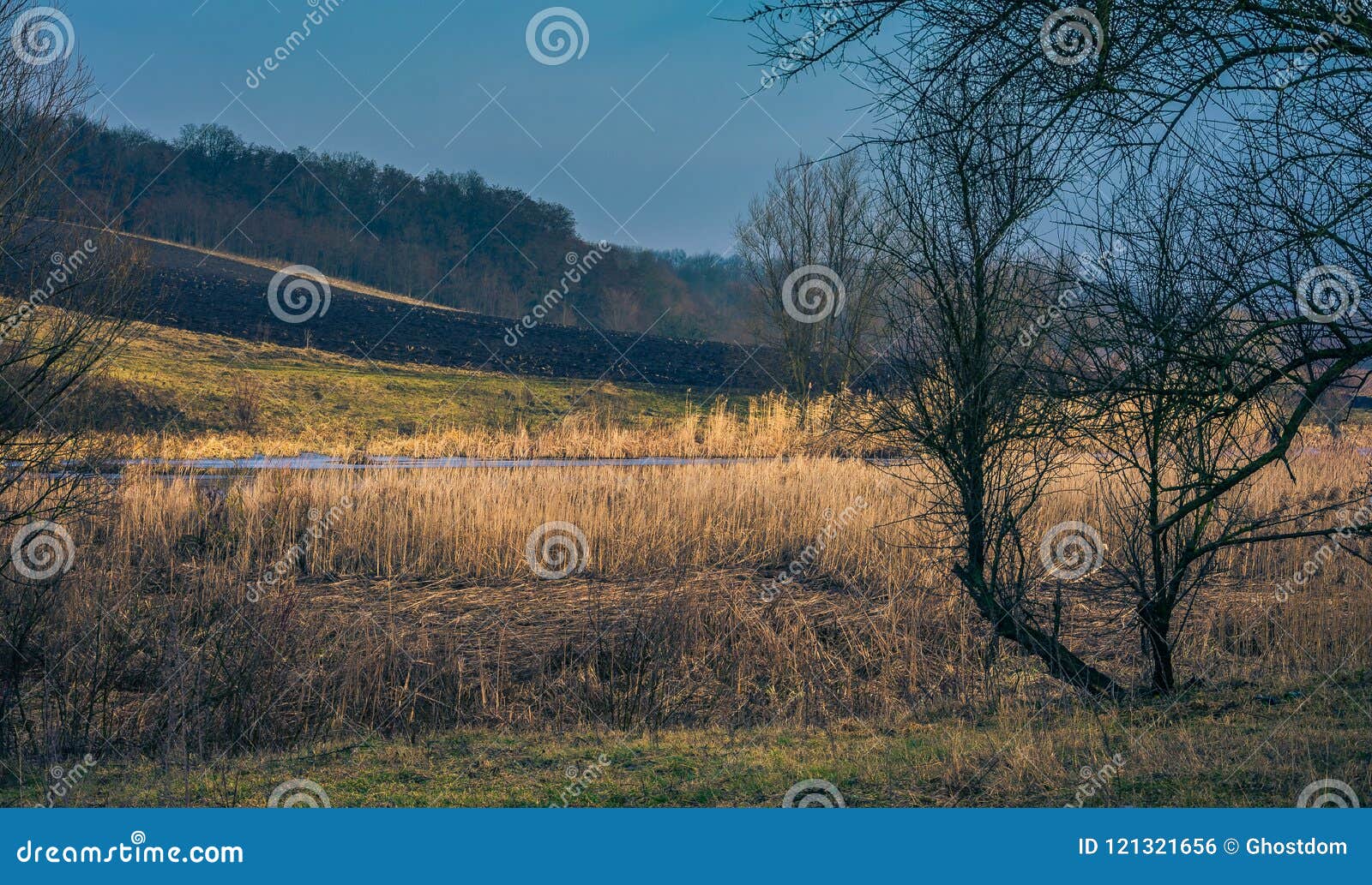 River in early spring stock photo. Image of moring, clouds - 121321656
