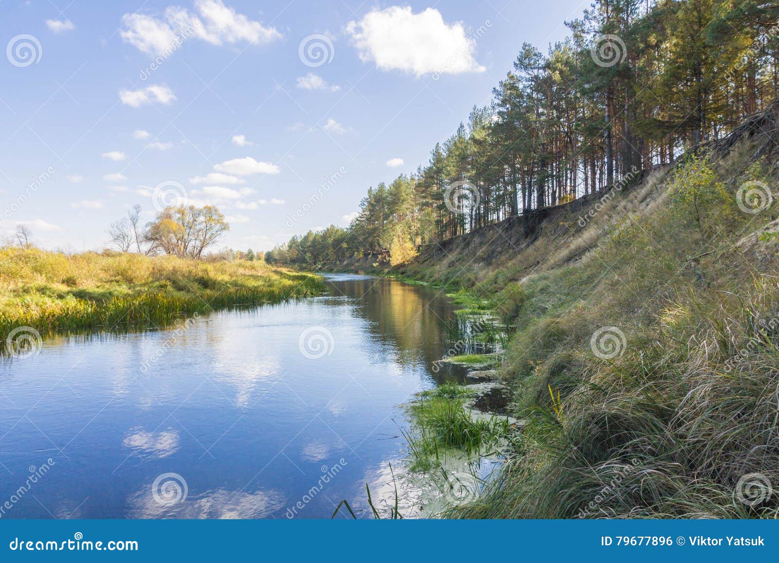 River on the Edge of Forest. Stock Photo - Image of scene, reflection ...