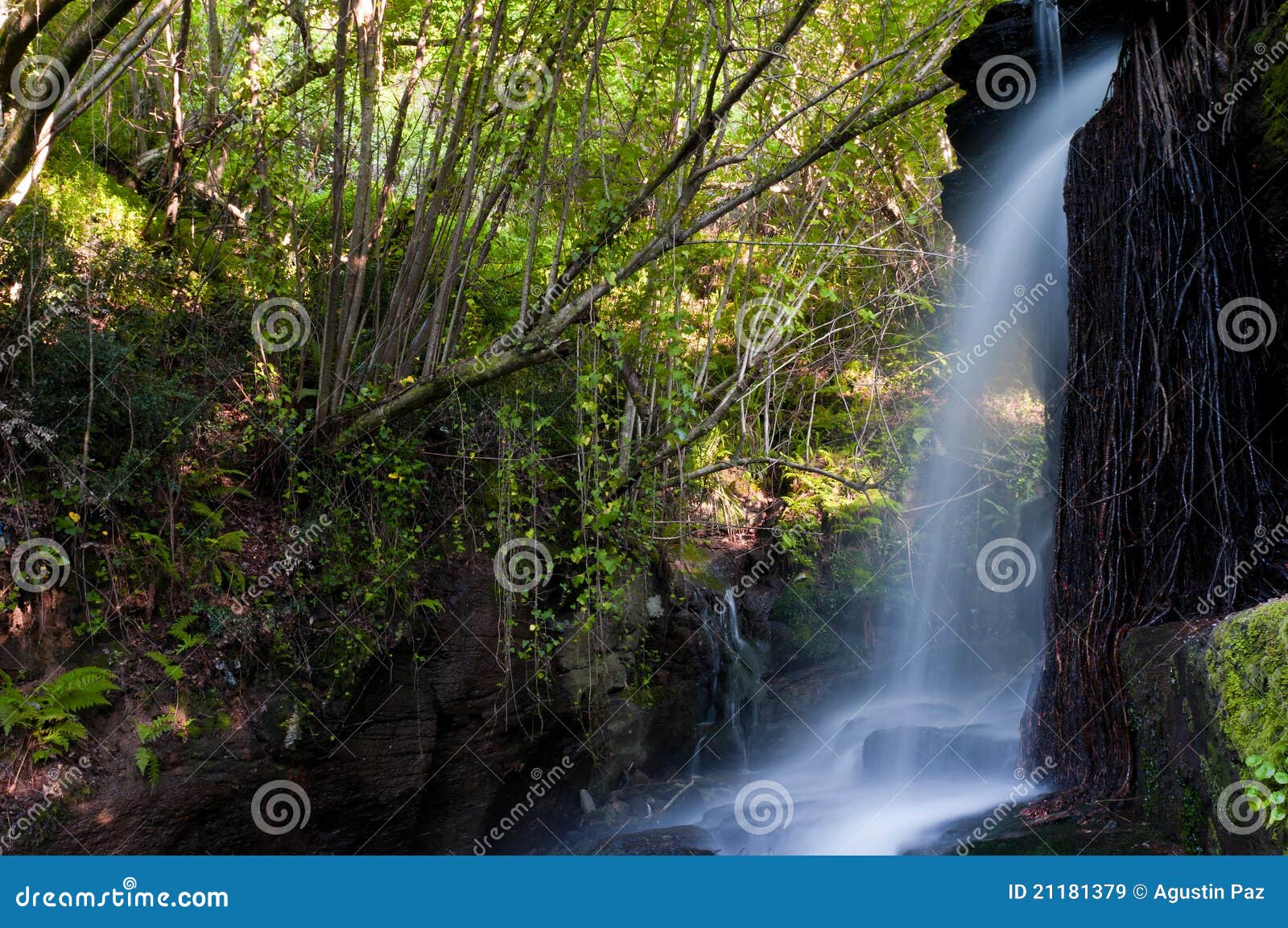 River Eifonso Waterfall, in Vigo, Spain Stock Image - Image of scenery ...
