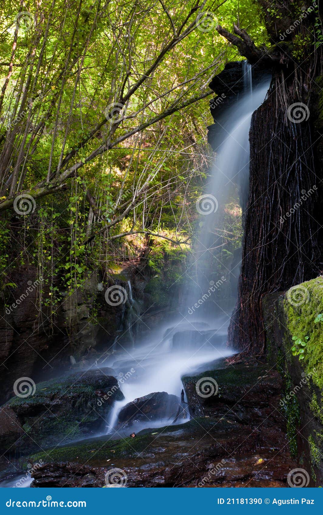 River Eifonso Waterfall, in Vigo, Spain Stock Photo - Image of spring ...