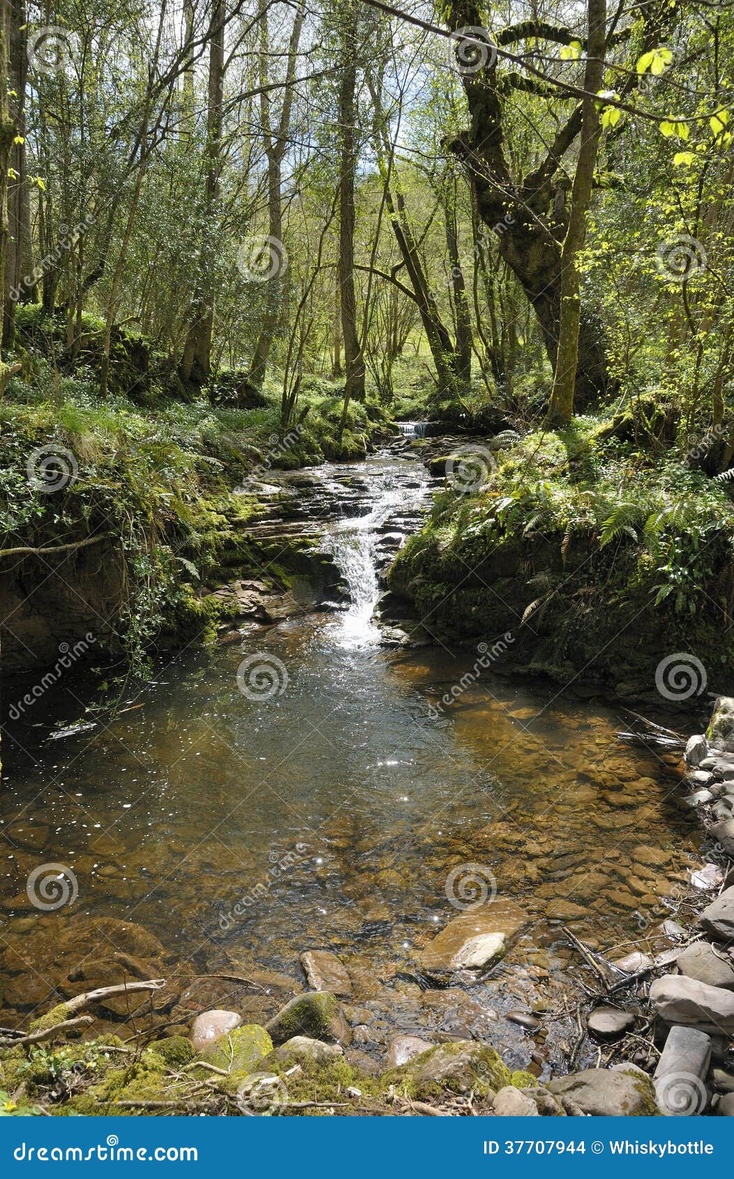 River Enig at Pwll-y-Wrach stock photo. Image of upland - 37707944