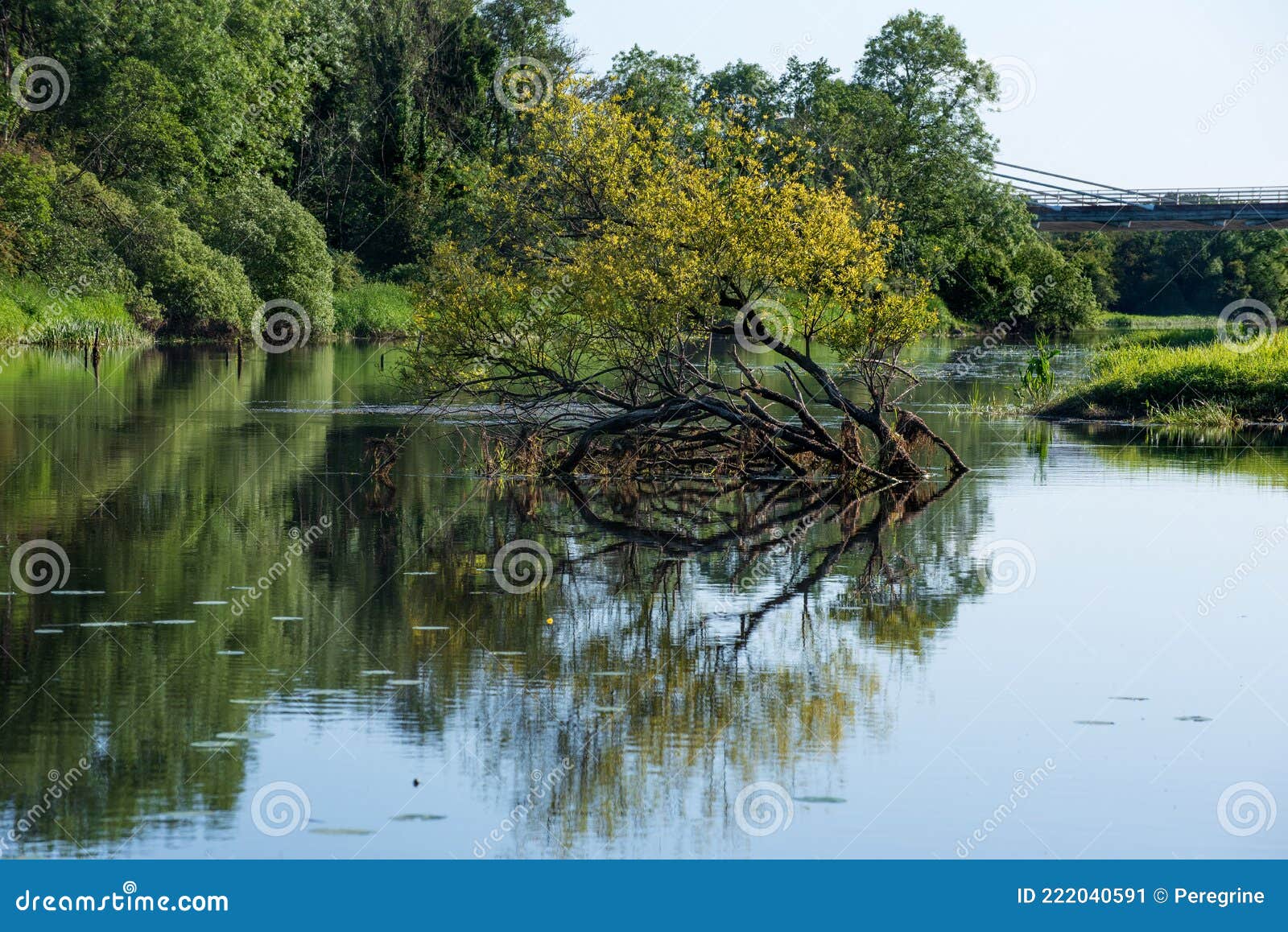 River Erne in Co. Cavan, Ireland Stock Image - Image of landscapes ...