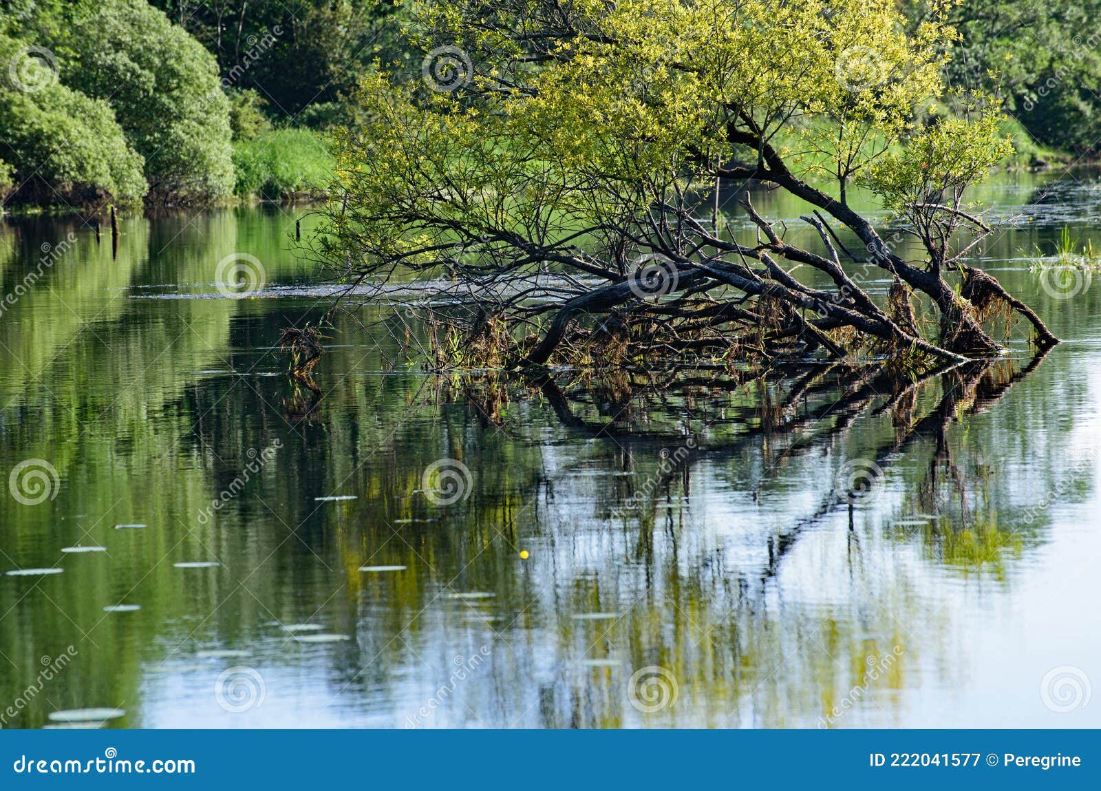 River Erne in Co. Cavan, Ireland Stock Image - Image of erne, outside ...