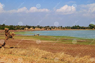 River in Ethiopia stock photo. Image of nature, people - 18918064
