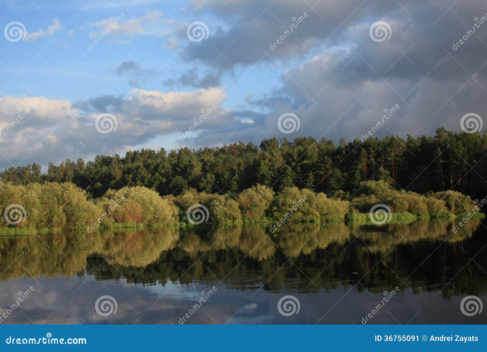 River in the evening stock image. Image of willow, water - 36755091