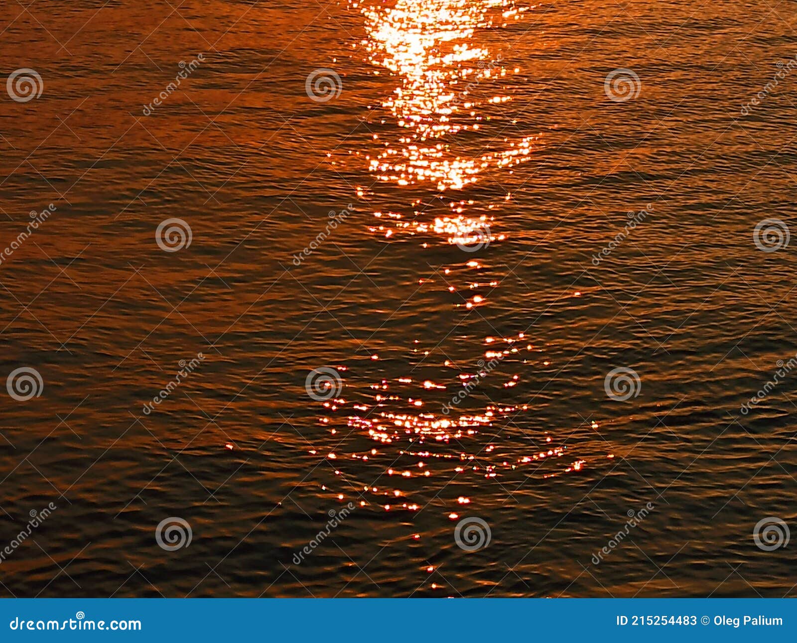 River in the Evening Shot-close-up Stock Image - Image of ecology ...