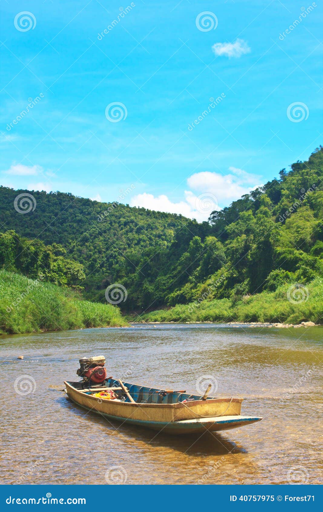 River in Evergreen Forest with Boat Stock Image - Image of rapid ...