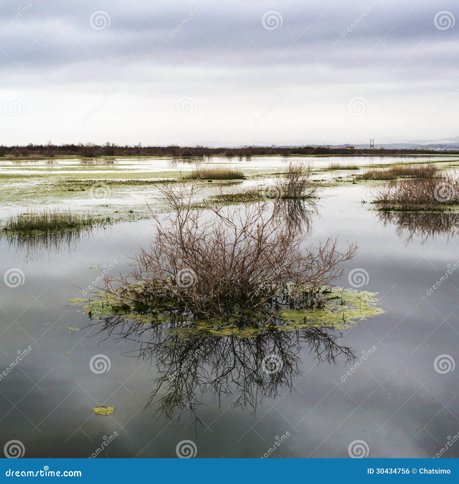 River of Evros in Autumn stock photo. Image of season - 30434756