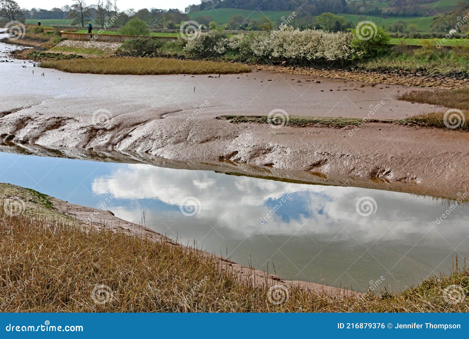River Exe Estuary at Low Tide Stock Photo - Image of view, landscape ...