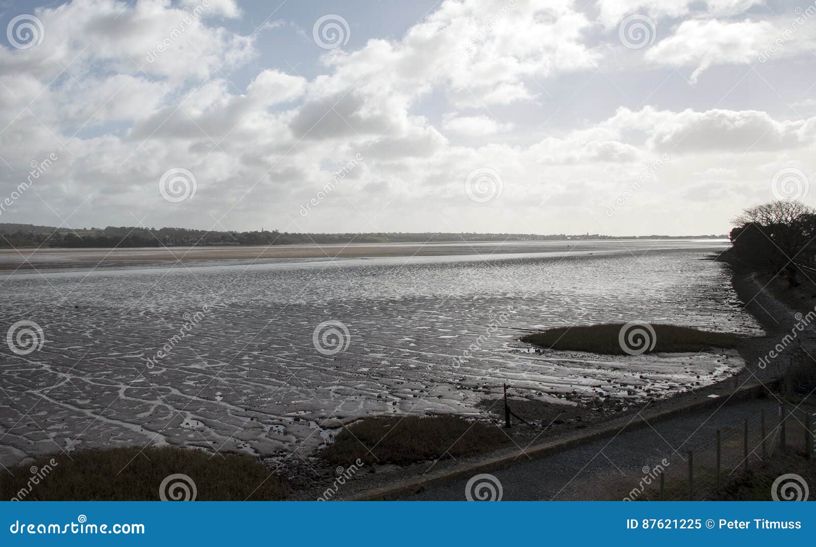The River Exe Estuary in South Devon England UK Stock Image - Image of ...