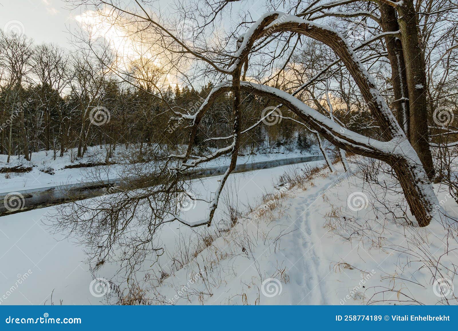 River Extending in the Winter Forest Stock Image - Image of covered ...