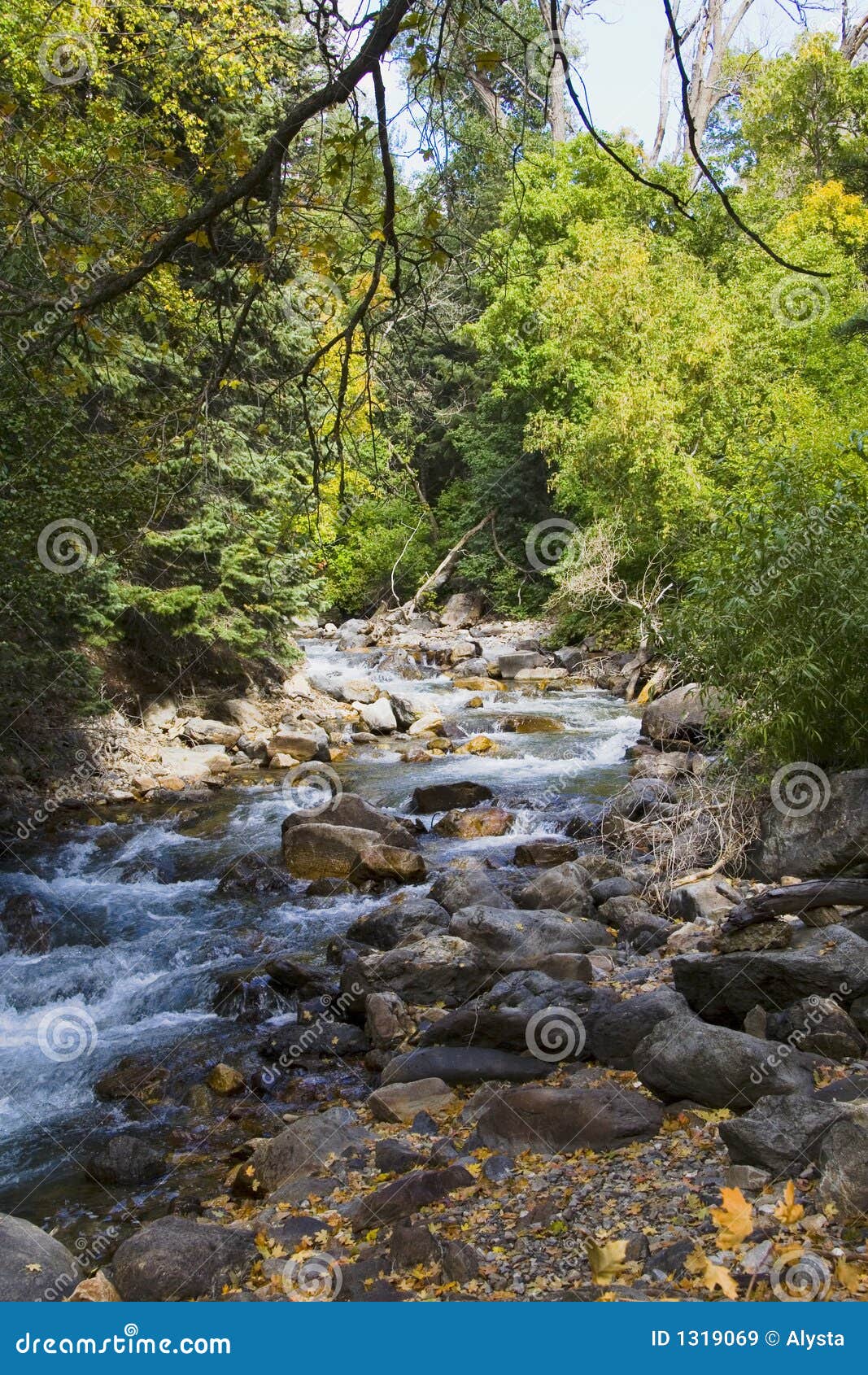 River in Fall stock image. Image of mountains, autumn - 1319069