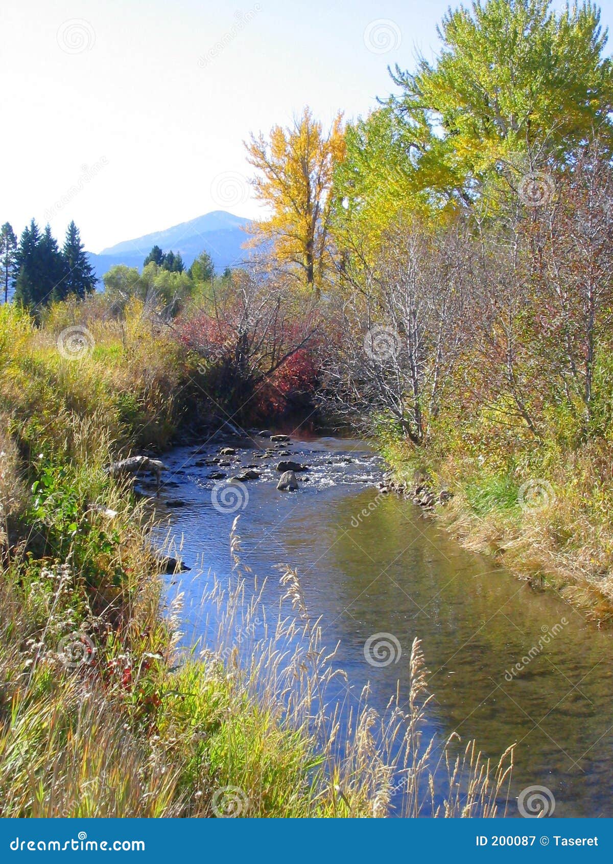 River in the Fall stock image. Image of trees, river, water - 200087