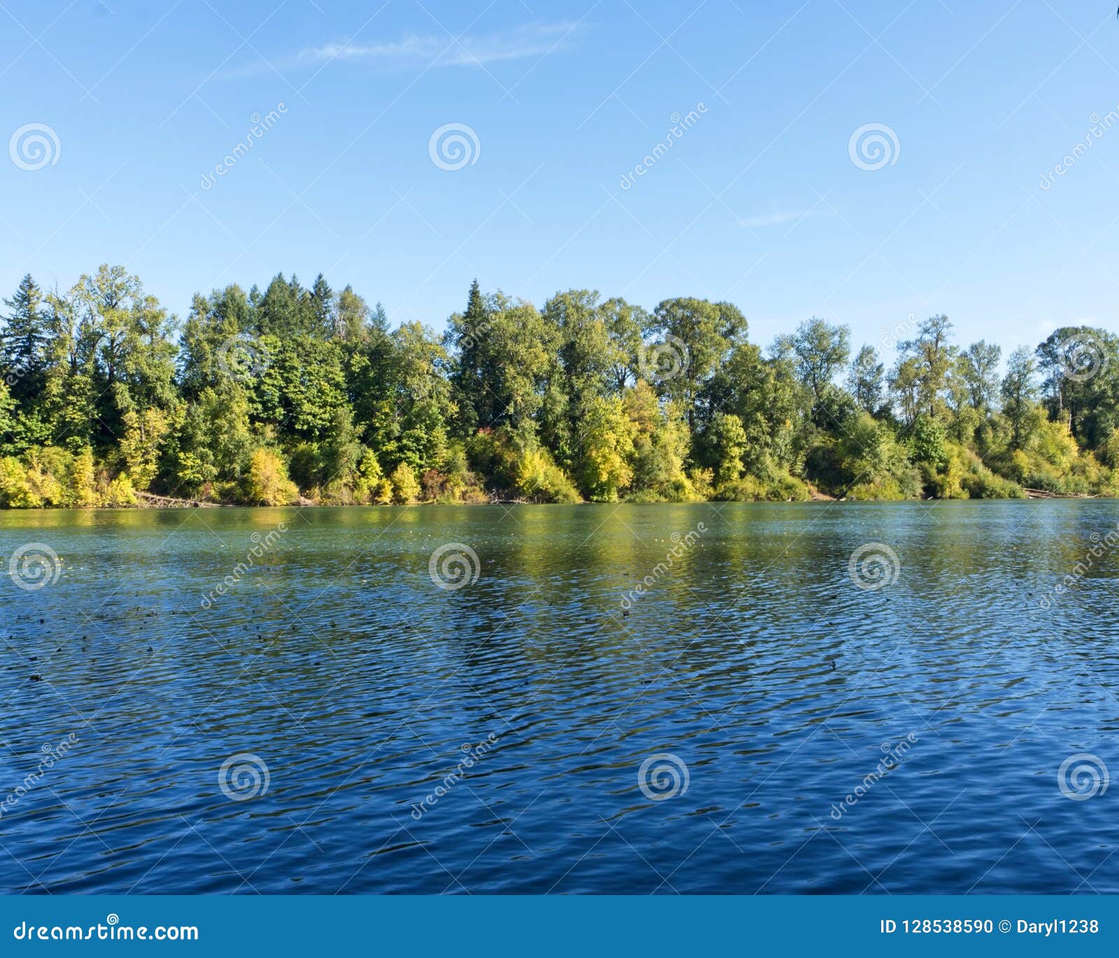 River with Fall Foliage Trees in the Background Stock Photo - Image of ...