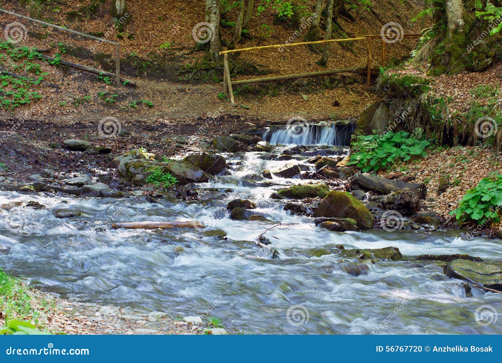 River falling cascade down stock photo. Image of motion - 56767720