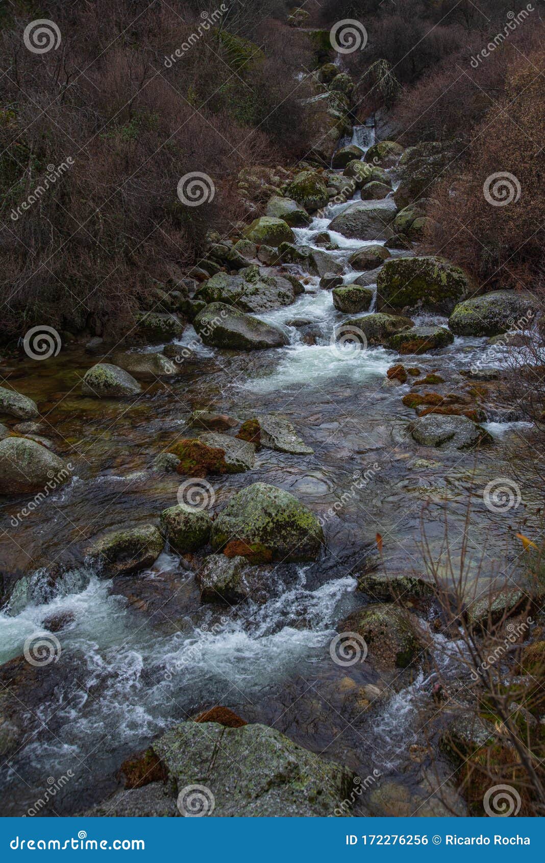 River Falling by the Stones Stock Photo - Image of rainforest ...