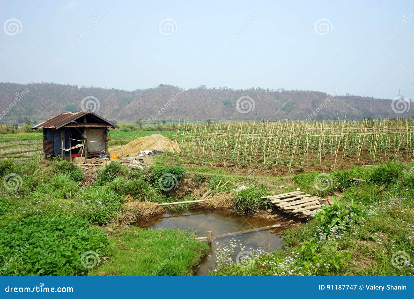 River and farm stock image. Image of agriculture, river - 91187747