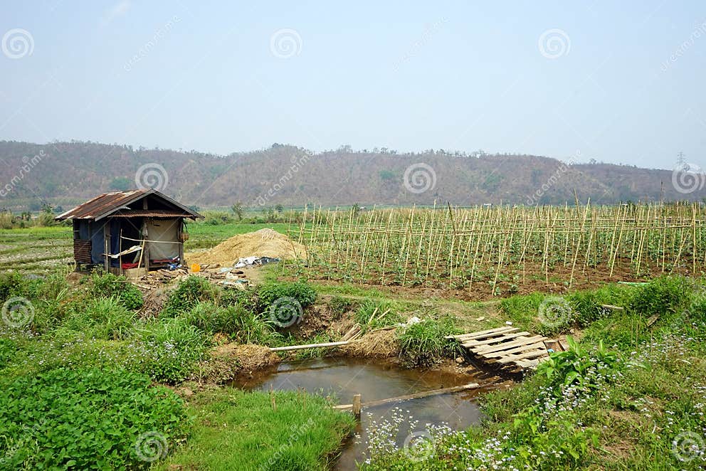River and farm stock image. Image of agriculture, river - 91187747