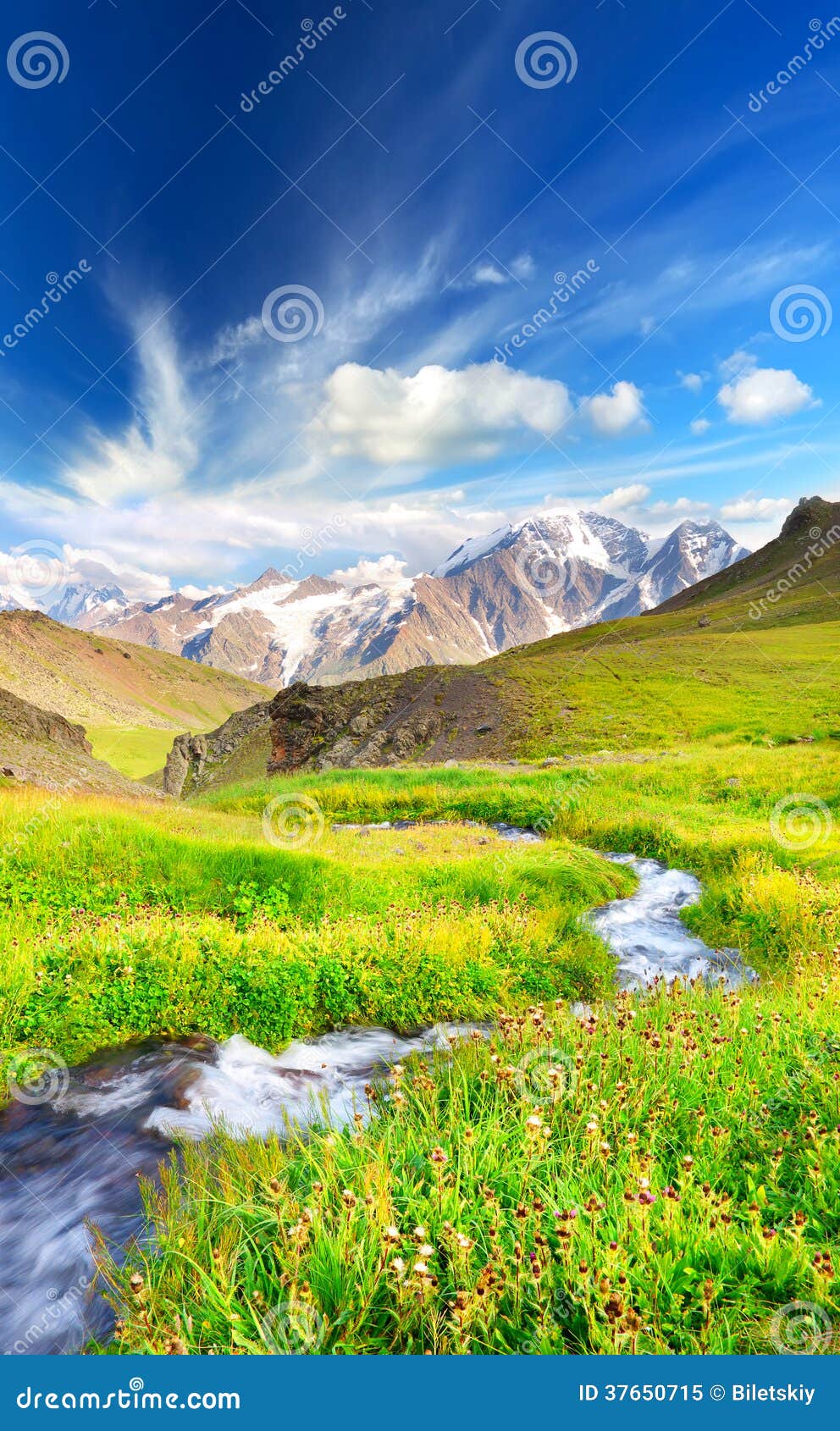 River on field stock image. Image of countryside, horizon - 37650715