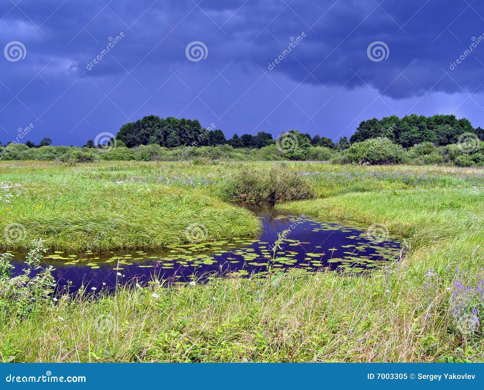 River on field stock image. Image of peaceful, foliage - 7003305