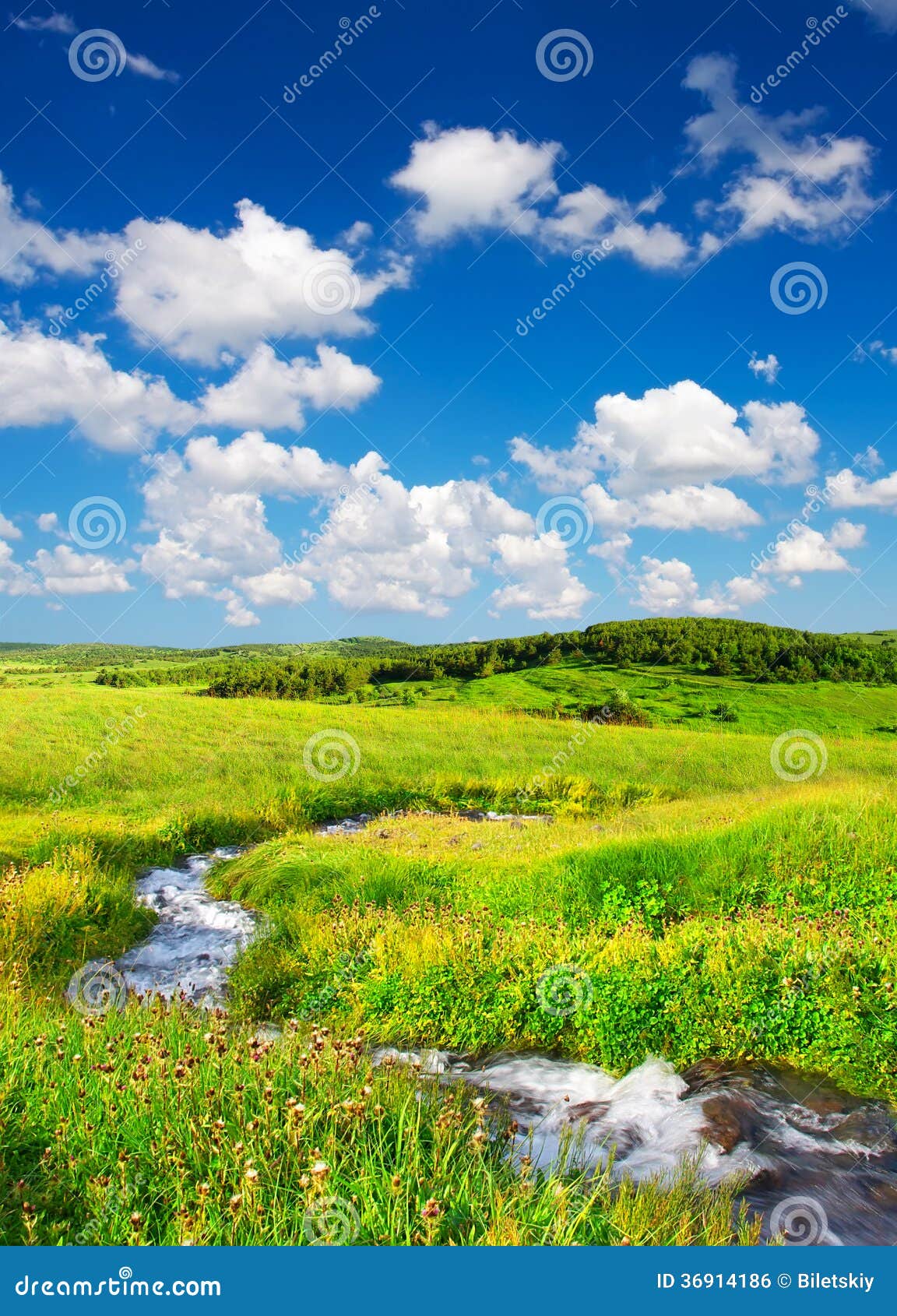 River stock photo. Image of landscape, green, horizon - 36914186