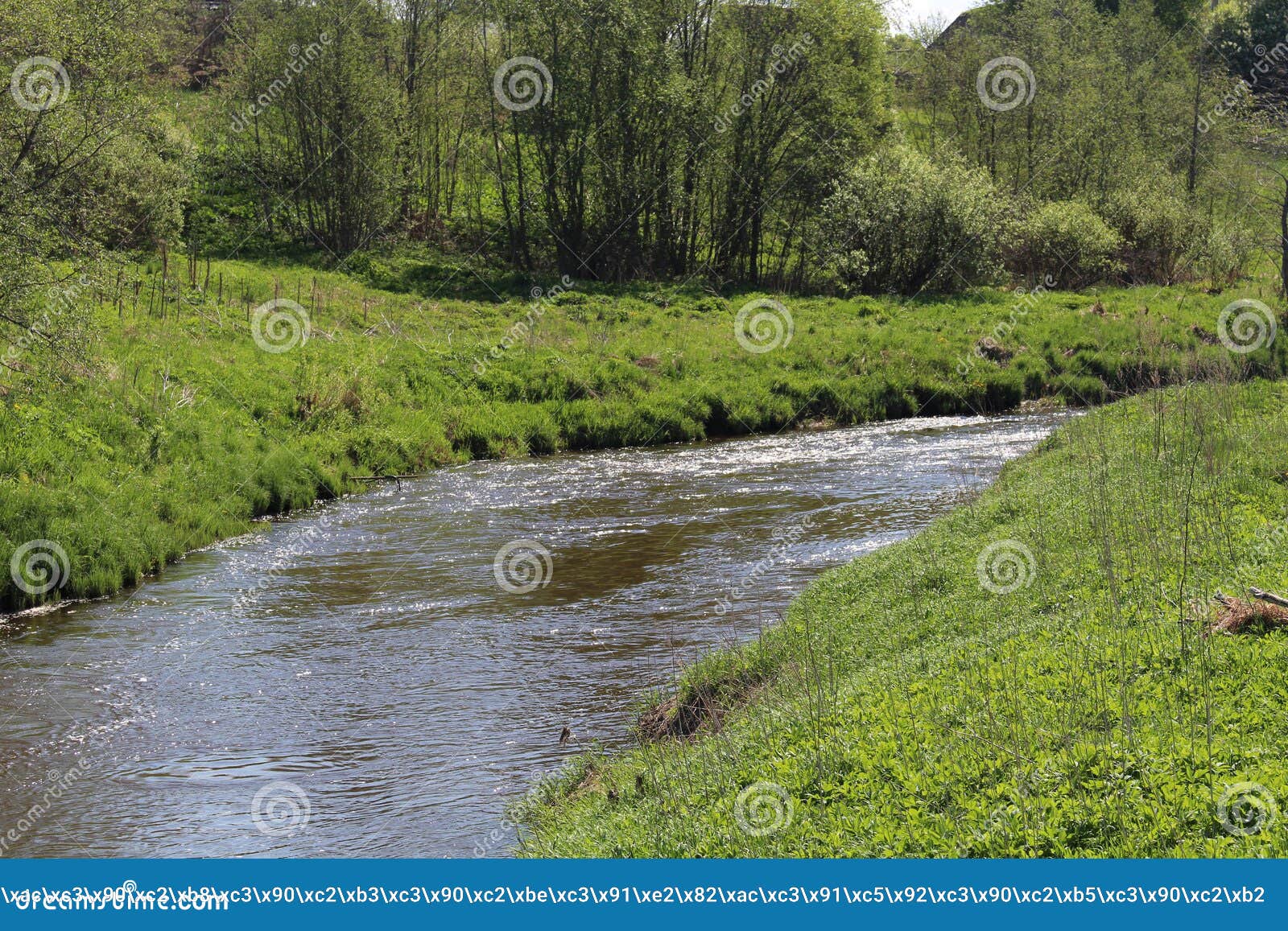 River in fields six stock image. Image of bright, river - 117512207