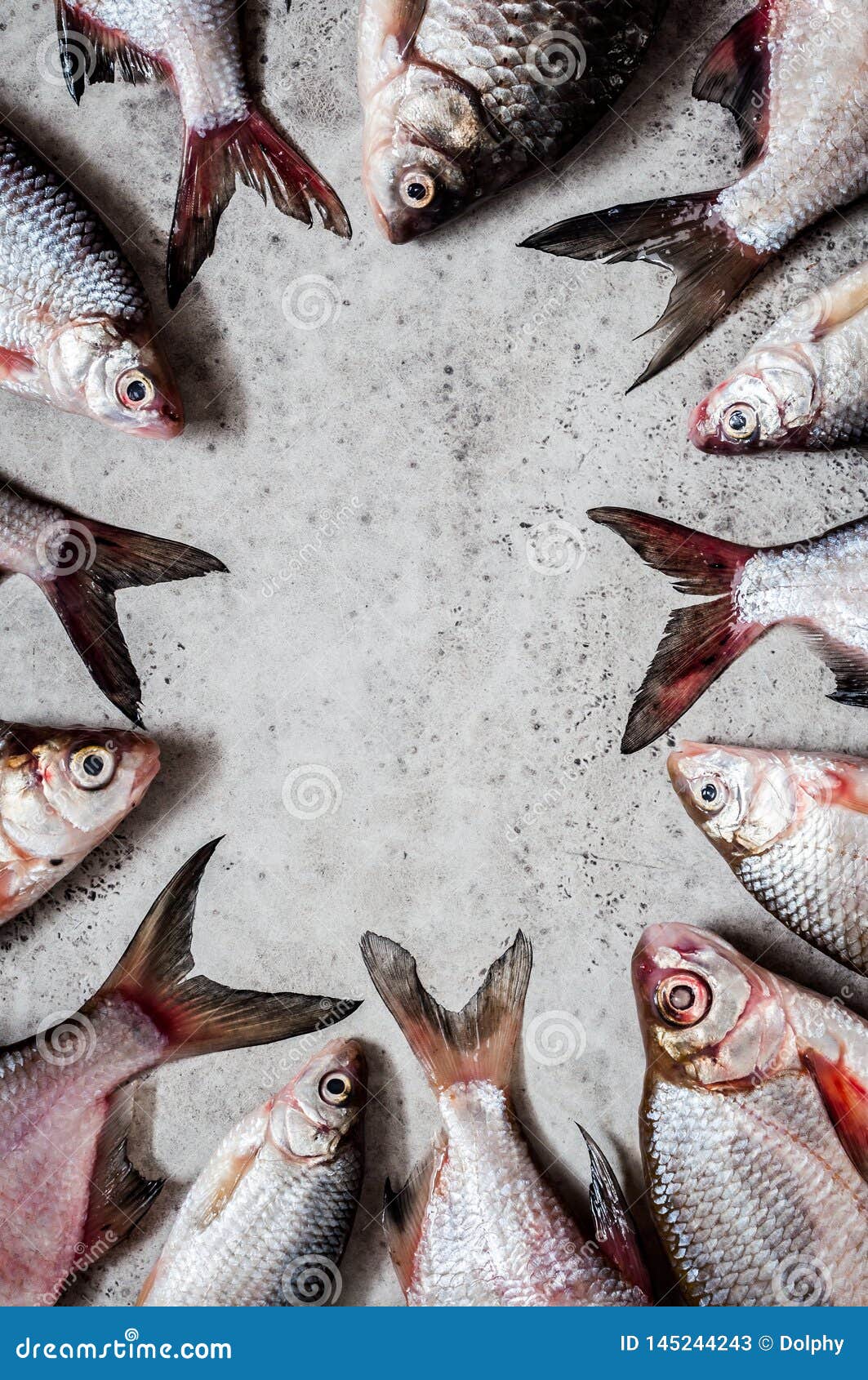 River Fish Background stock image. Image of meat, grey - 145244243